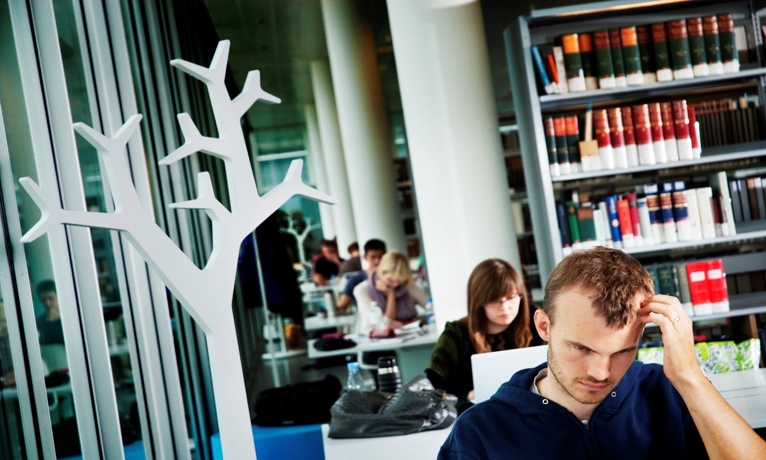 A room is not just a room: The Library as shared place and why it ...